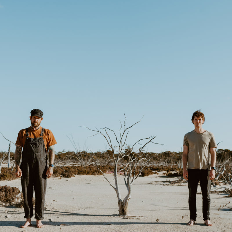 Salt Tree – Filter Music Group